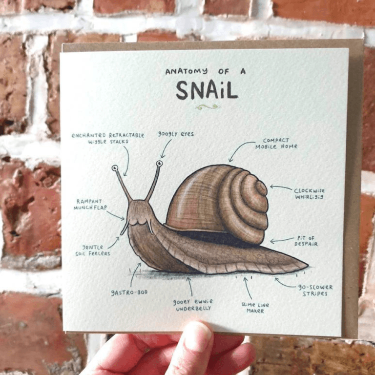 The Best Gift Ideas for Snail Lovers (Unique & Quirky Finds) - 2025